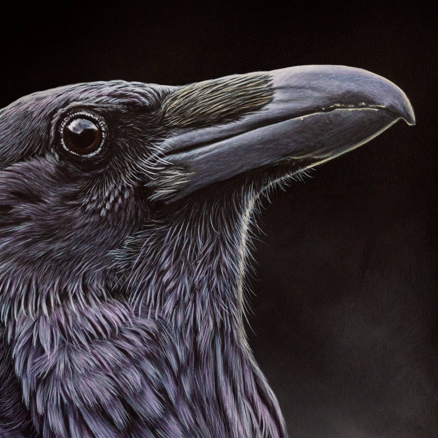 Raven Portrait Art Print – Corvid Bird Art – TheThrivingWild