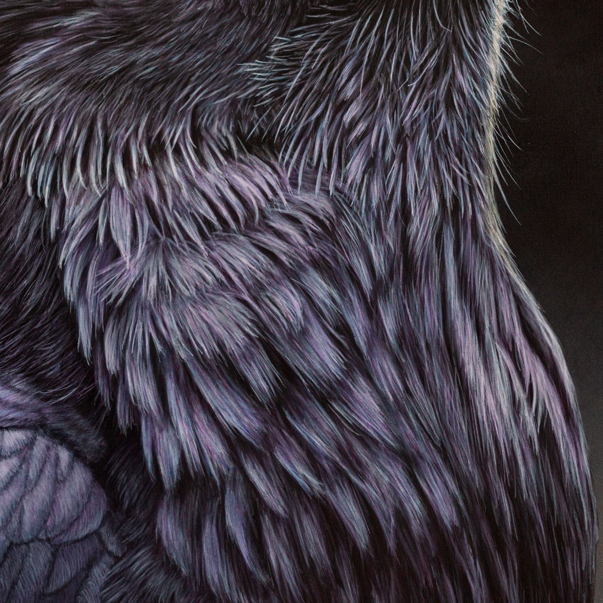 Raven Portrait Art Print – Corvid Bird Art – TheThrivingWild