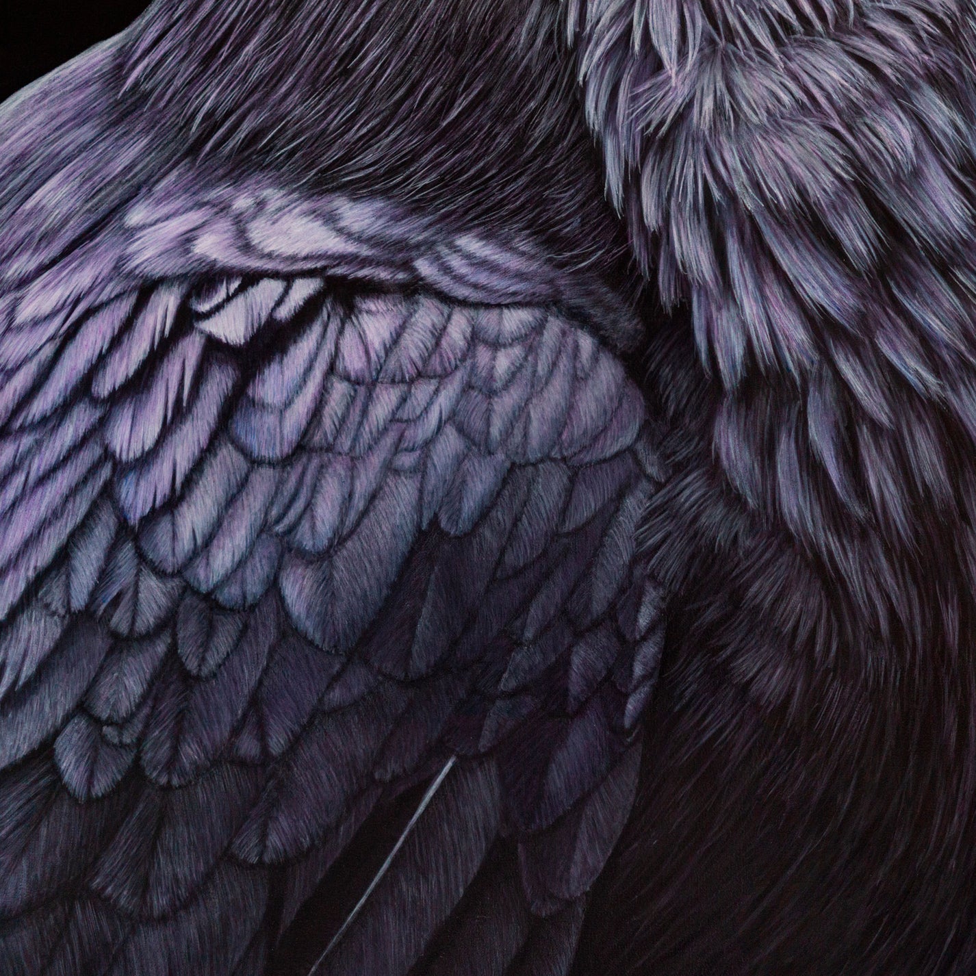 Raven Portrait Art Print – Corvid Bird Art – TheThrivingWild