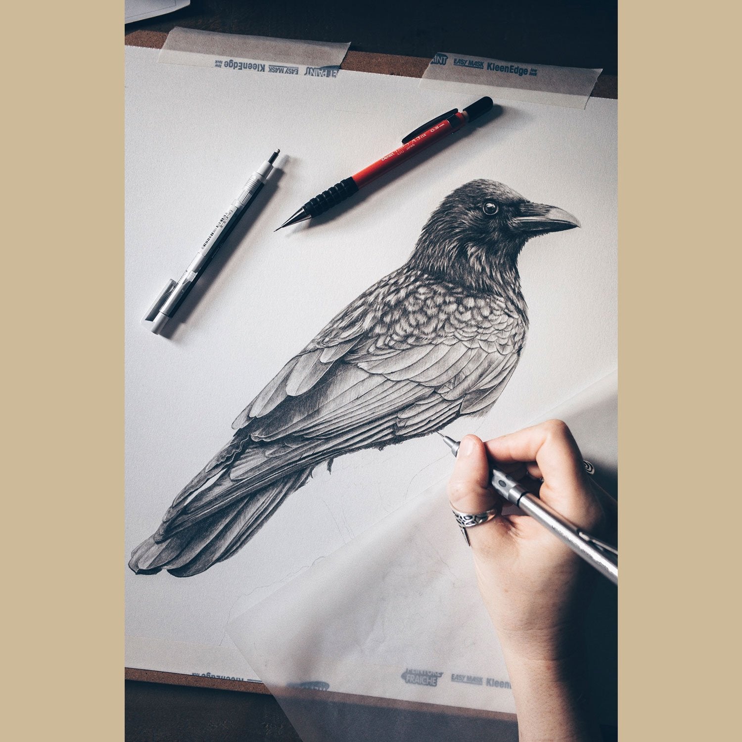 Original Crow Pencil Drawing (corvus corone) — TheThrivingWild