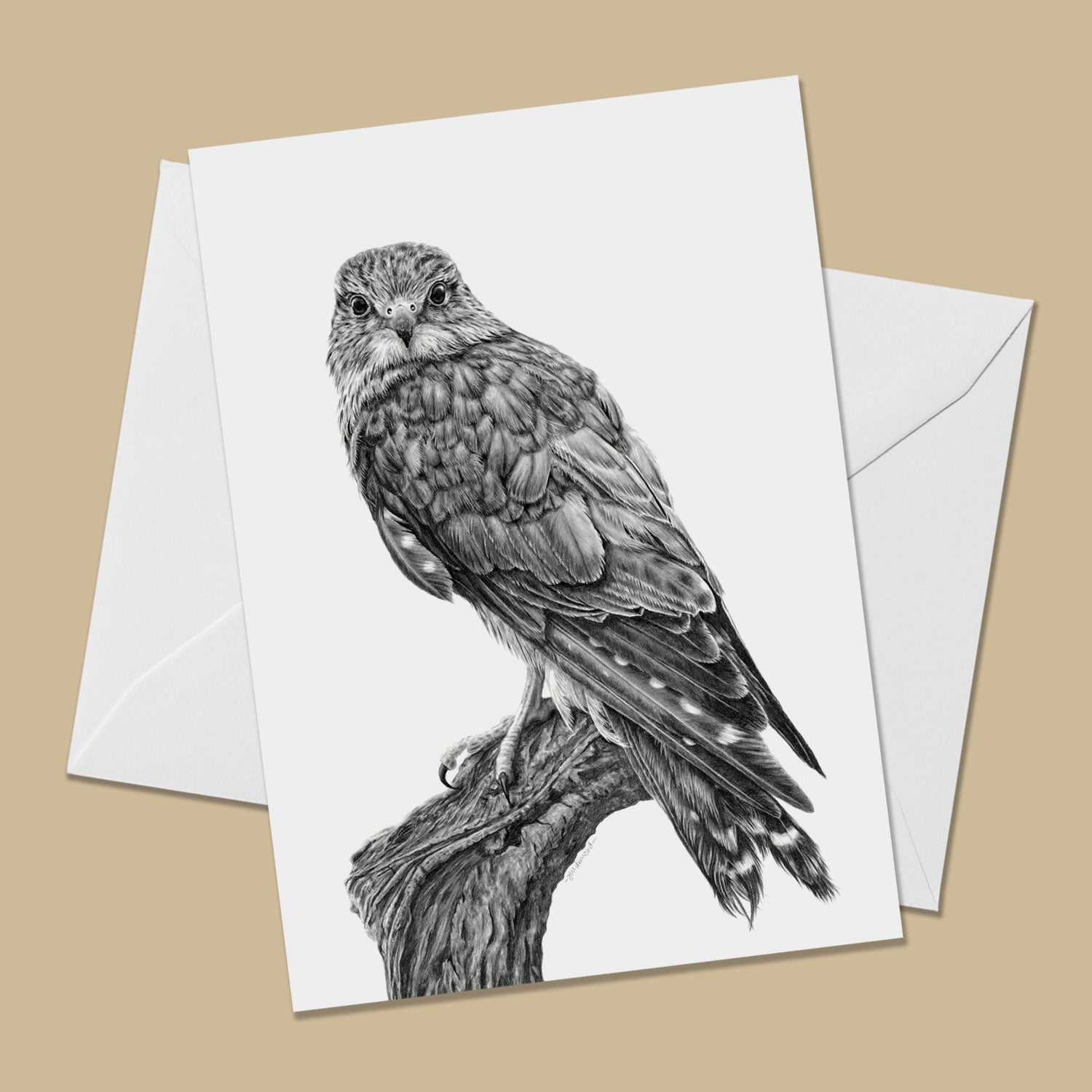 Female Merlin Greeting Card - Birthday Card - Falco Columbarius ...