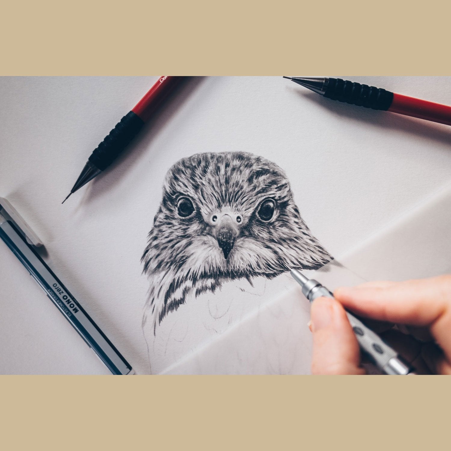Original Female Merlin Pencil Drawing (falco columbarius) — TheThrivingWild