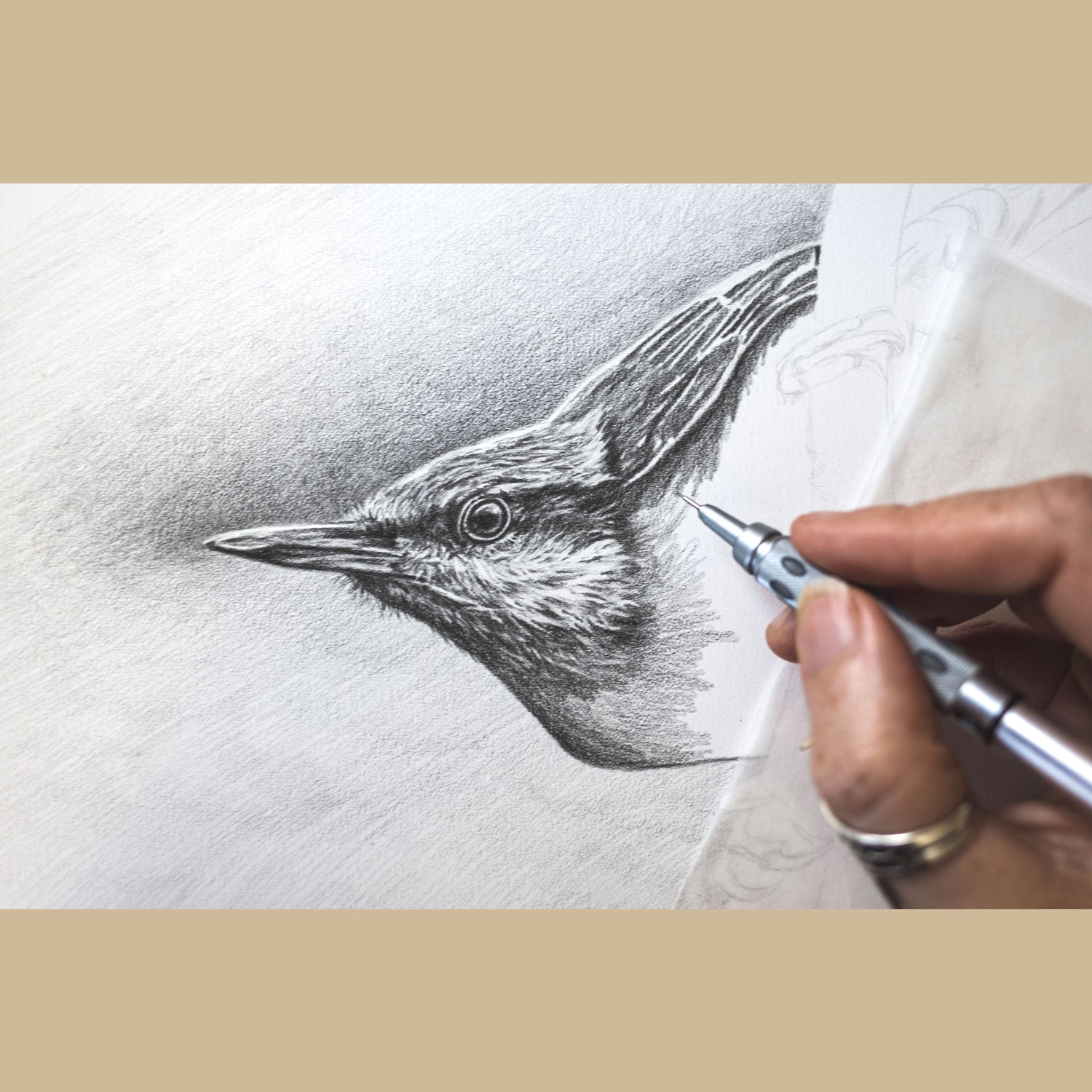 Original Nuthatch Pencil Drawing | FREE UK SHIPPING! — TheThrivingWild