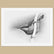 Original Nuthatch Pencil Drawing | FREE UK SHIPPING! – TheThrivingWild
