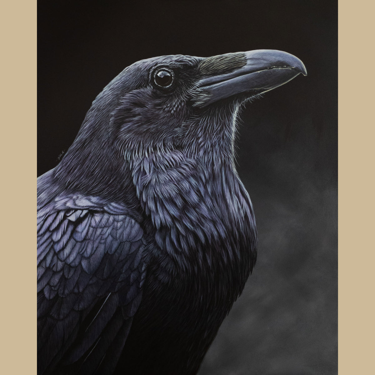 Original Raven Painting (corvus corax) by bird artist Jill Dimond ...