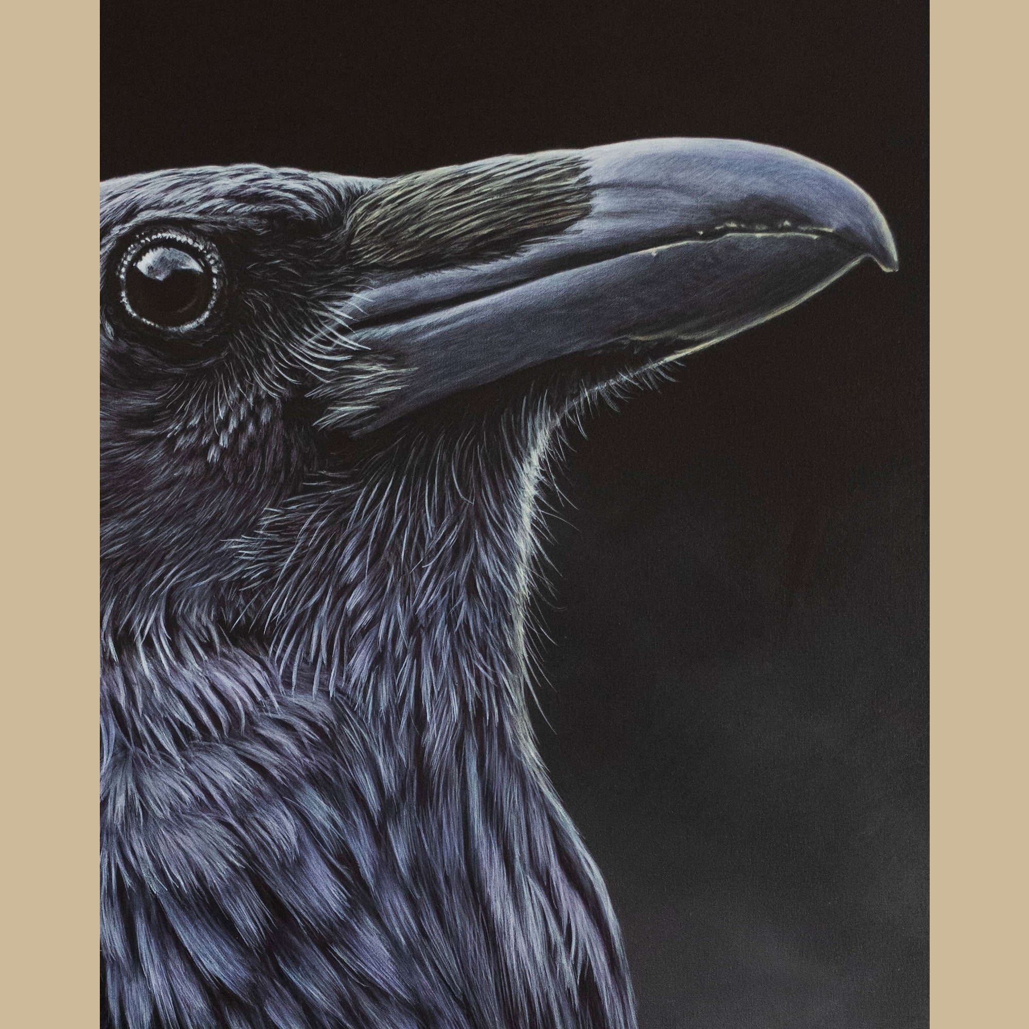 Original Raven Painting (corvus corax) by bird artist Jill Dimond ...